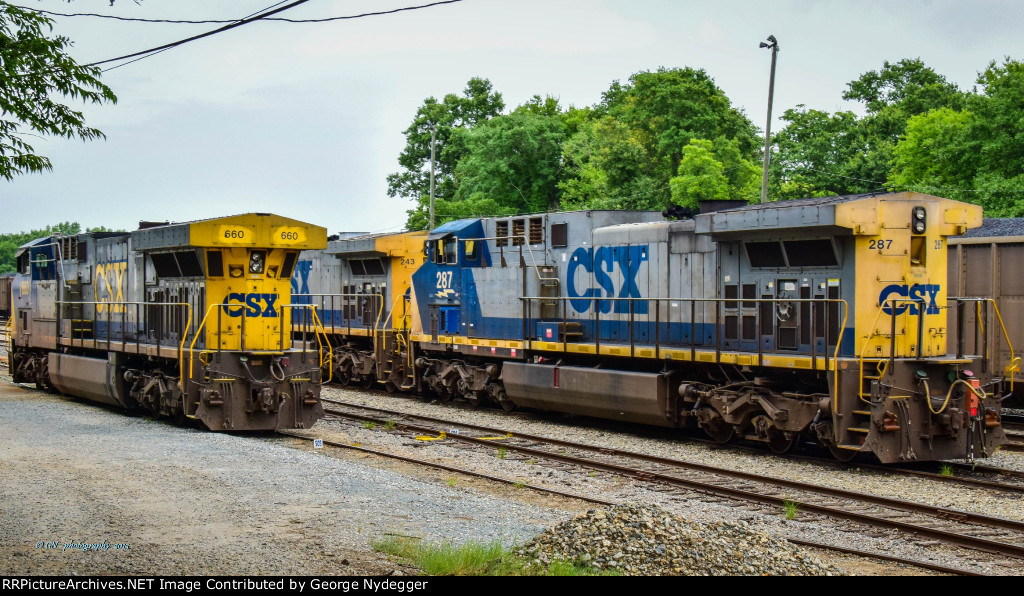 Looking @ the yard on a Sunday afternoon